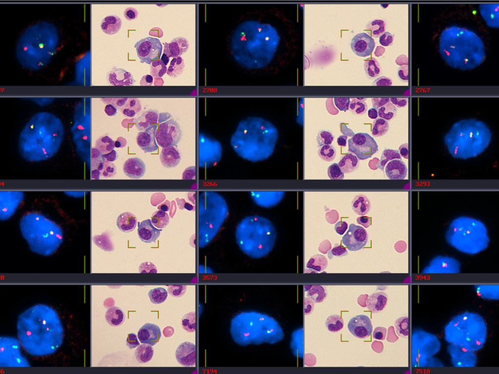 BioView – BioView imaging systems