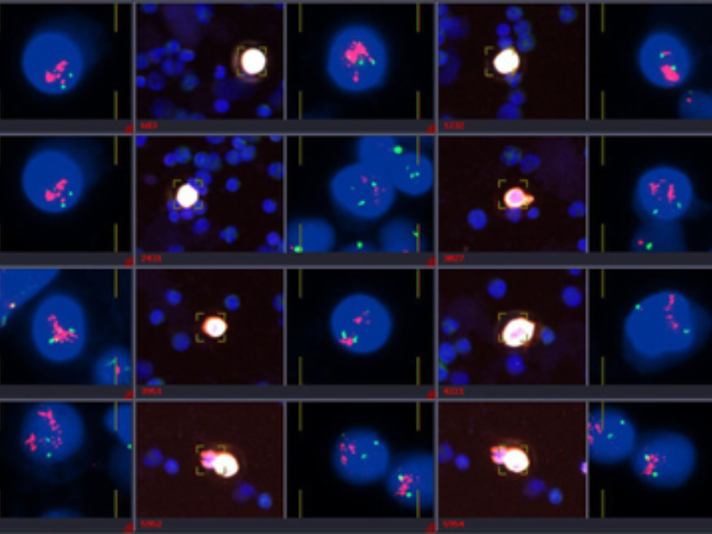 BioView – BioView imaging systems